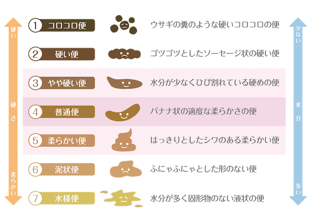 「快便」ってなに？快便にまつわるよくある誤解とおすすめの快便習慣を紹介 おなかスッキリ研究所 パールエース Online Shop